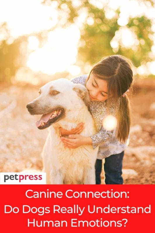 Canine Connection: Do Dogs Really Understand Human Emotions?