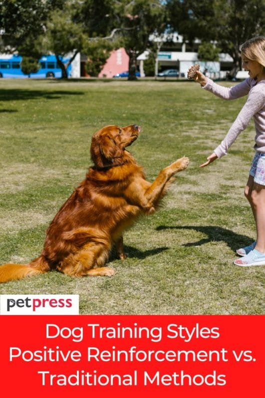 Dog Training Styles: Positive Reinforcement vs Traditional Methods