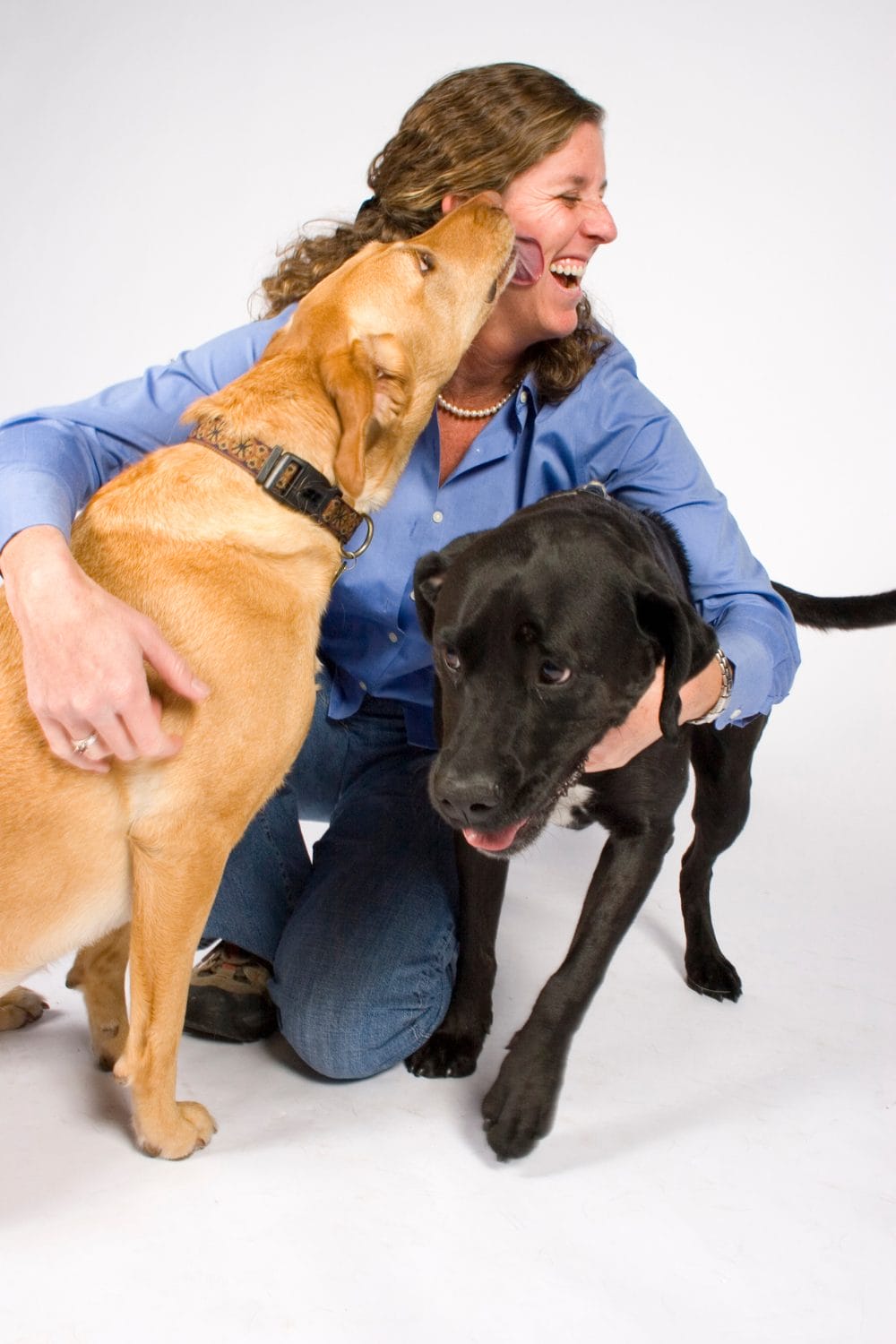 National Slobber Appreciation Day: Embrace the Slobbery Love - PetPress