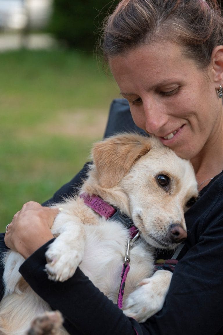 World Pet Day: Celebrating the Love for Pets Worldwide - PetPress