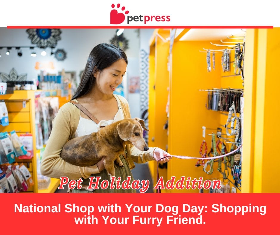 National Shop with Your Dog Day: Shopping with Your Furry Friend - PetPress