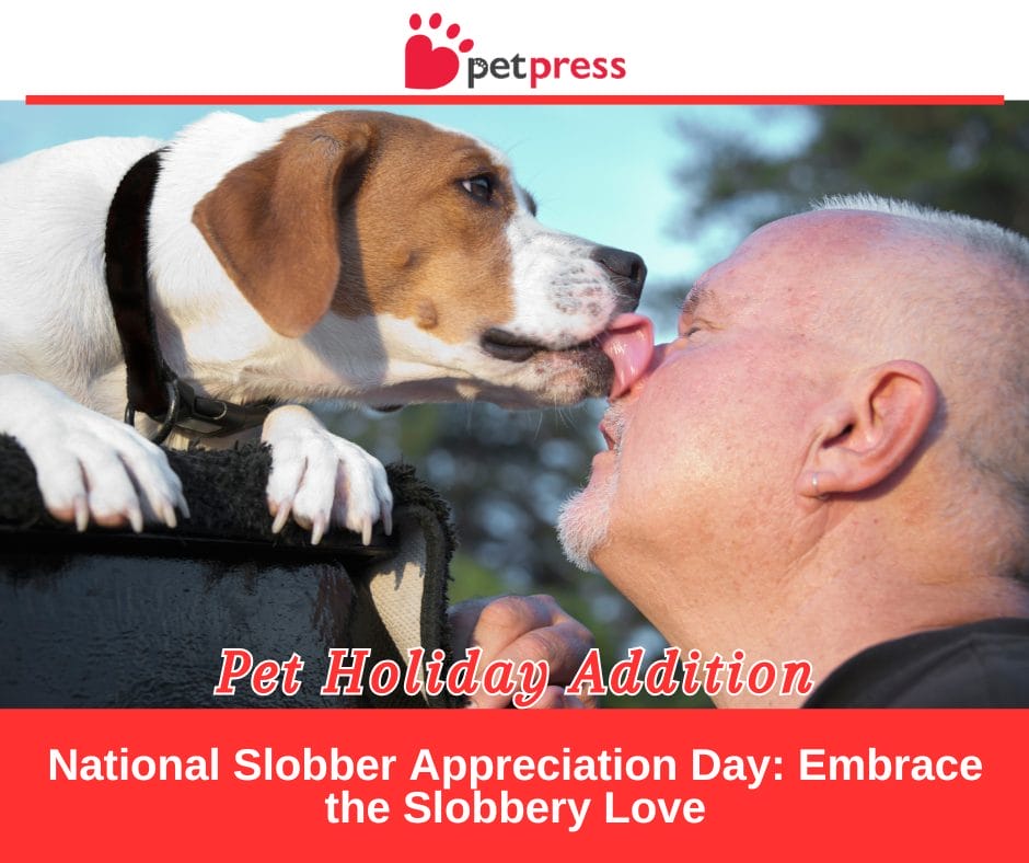 National Slobber Appreciation Day: Embrace the Slobbery Love - PetPress