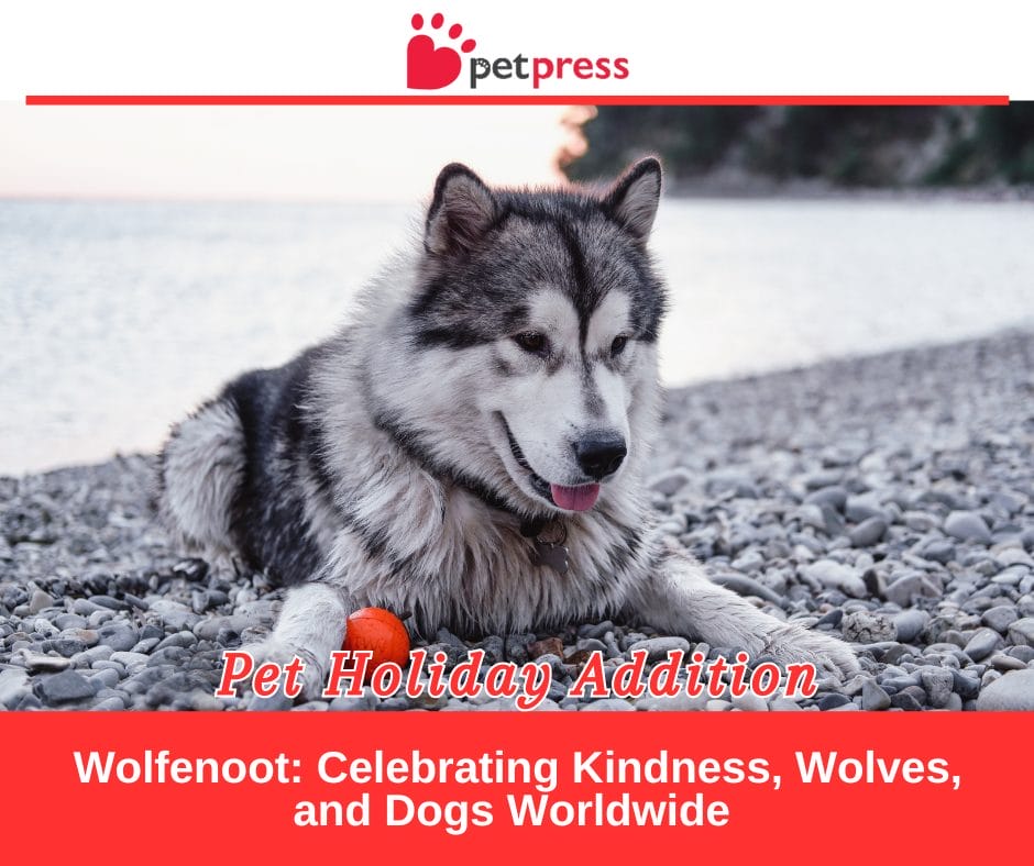 Wolfenoot Day: Celebrating Kindness, Wolves, and Dogs Worldwide - PetPress