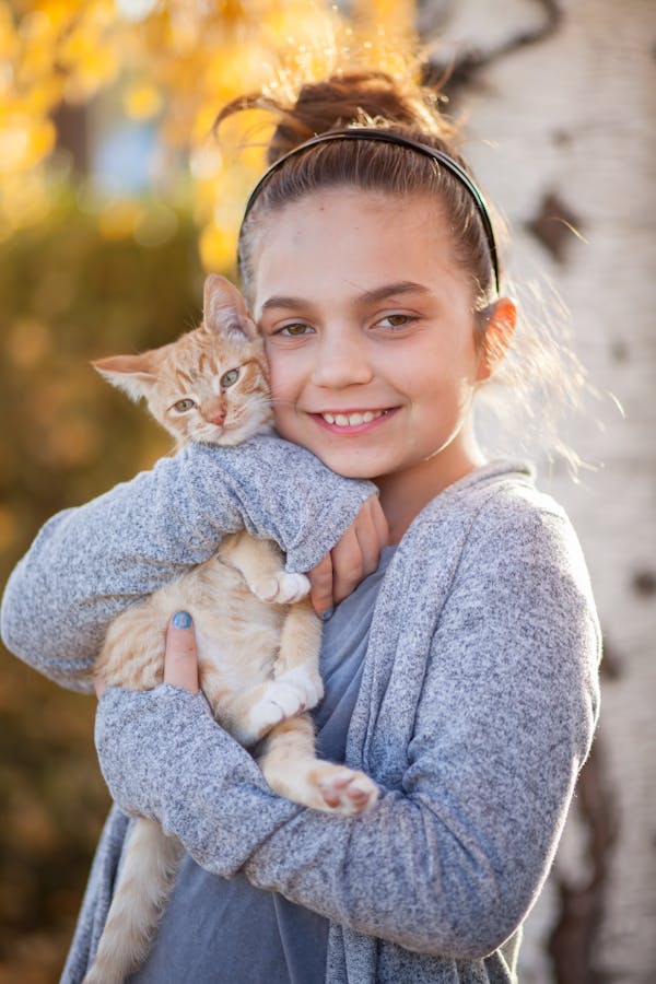 Do Cats Really Love Us? Understanding Feline Affection and Attachment