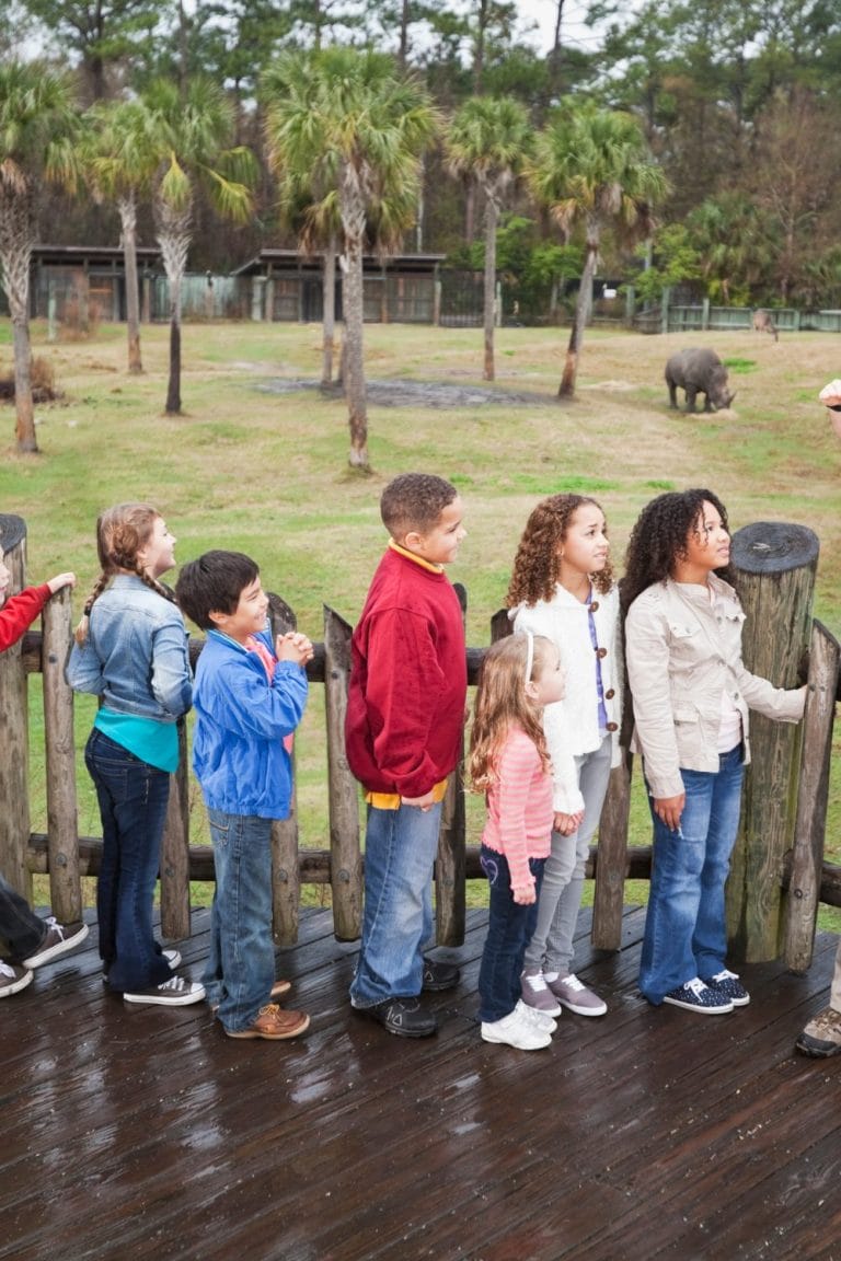 A Visit To The Zoo: A Journey into the World of Wildlife - PetPress