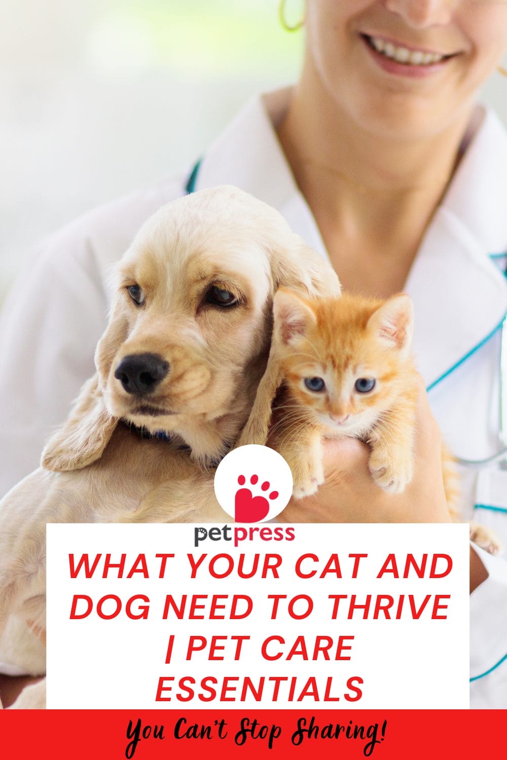What Your Cat and Dog Need to Thrive: Pet Care Essentials - PetPress
