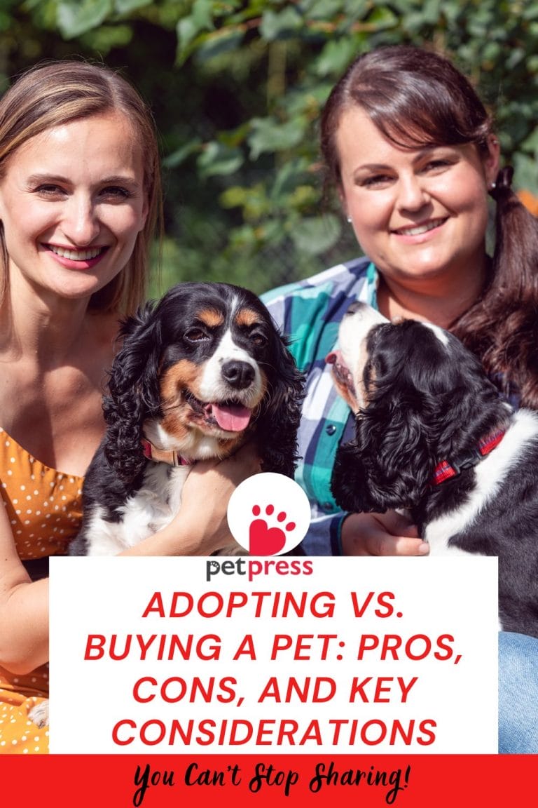 Adopting vs. Buying a Pet: Pros, Cons, and Key Considerations - PetPress