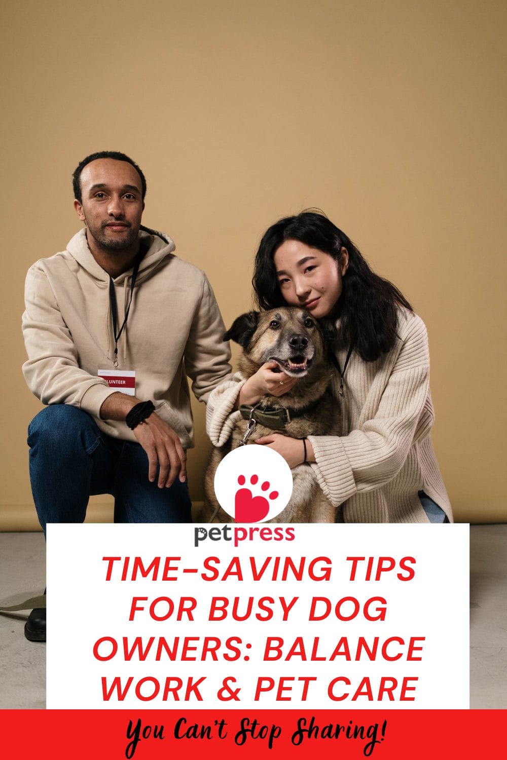Time-Saving Tips for Busy Dog Owners: Balance Work & Pet Care - PetPress