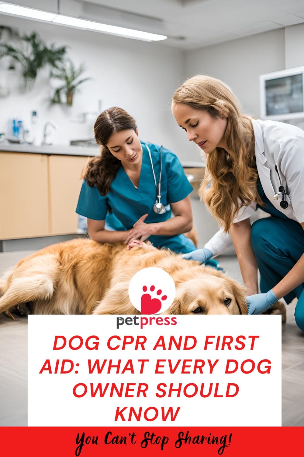 Dog CPR and First Aid: What Every Dog Owner Should Know - PetPress
