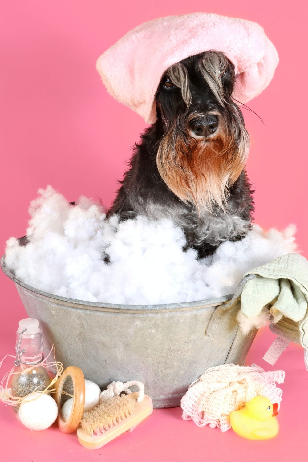 The Ultimate Dog Grooming Checklist: Tips for a Healthy Pup - PetPress