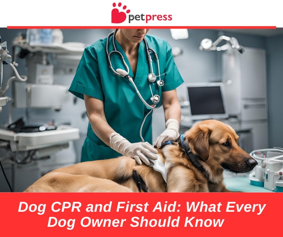 Dog CPR and First Aid: What Every Dog Owner Should Know - PetPress