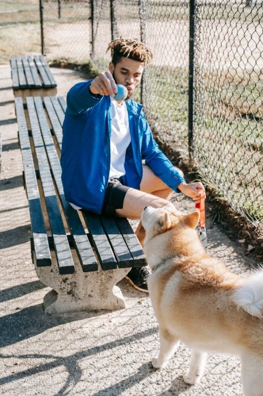 How to Teach Your Dog to Fetch: A Fun and Bonding Activity