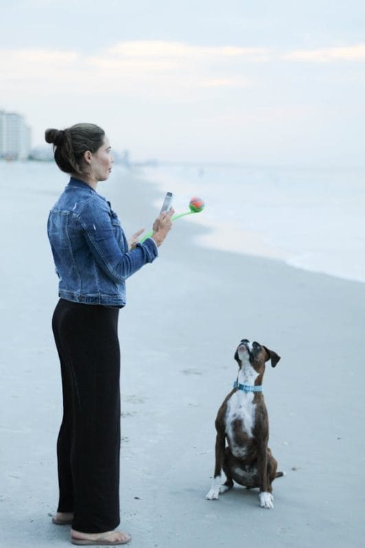 How to Teach Your Dog to Fetch: A Fun and Bonding Activity