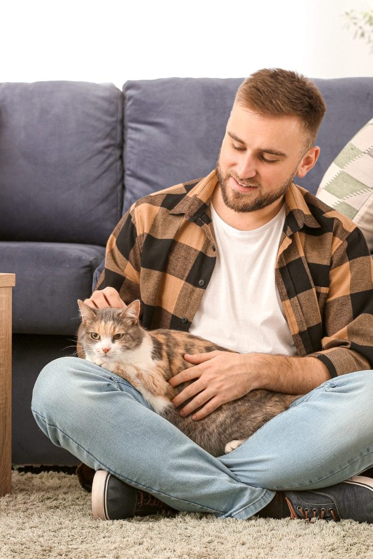 The History of Cats and Dogs as Human Companions: A Timeline - PetPress