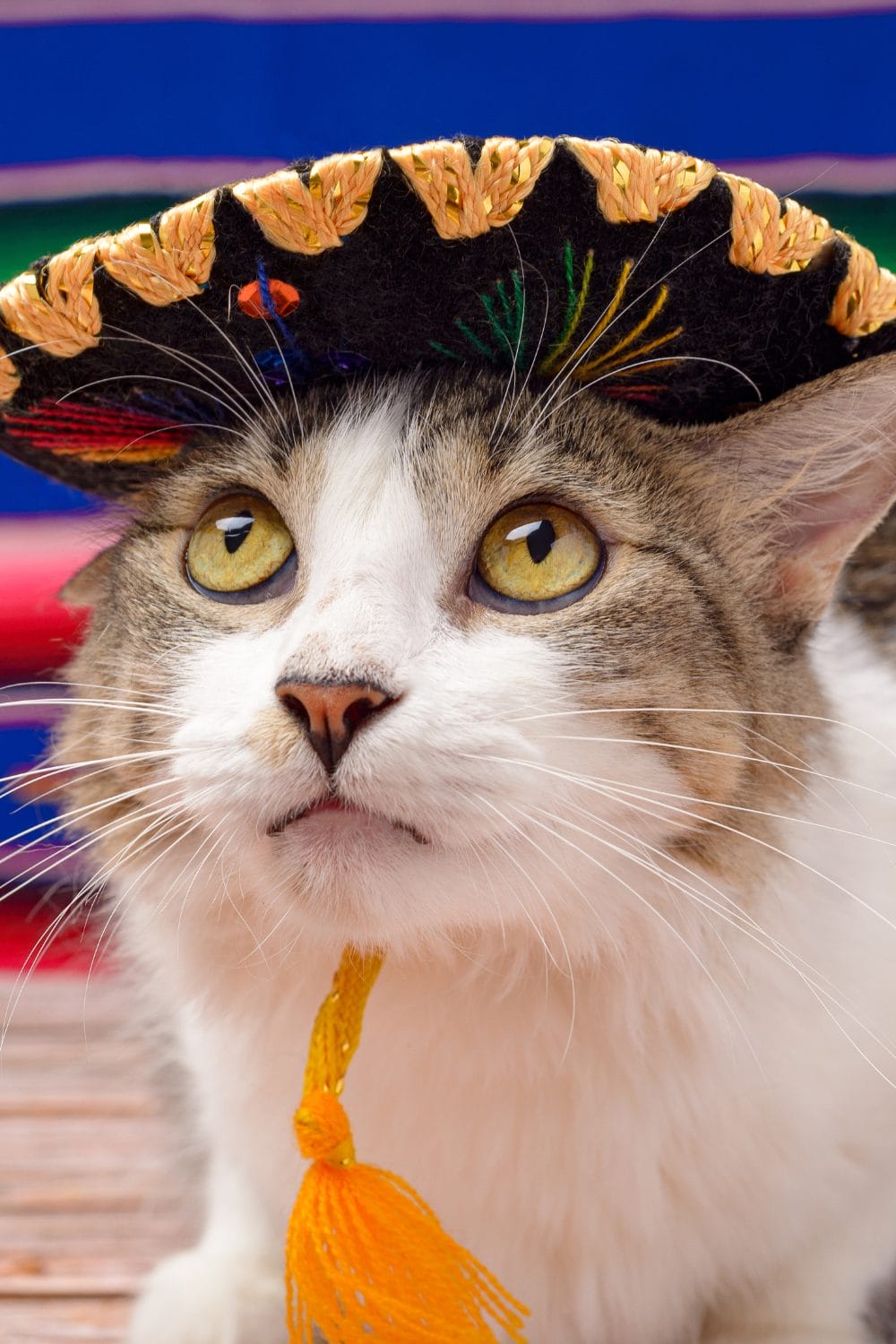 Famous Cats and Dogs: Iconic Pets Who Captured Our Hearts - PetPress