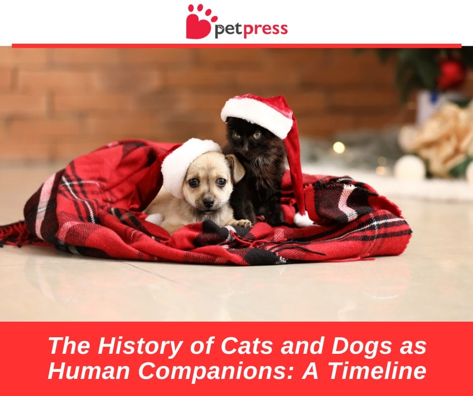 The History of Cats and Dogs as Human Companions: A Timeline - PetPress