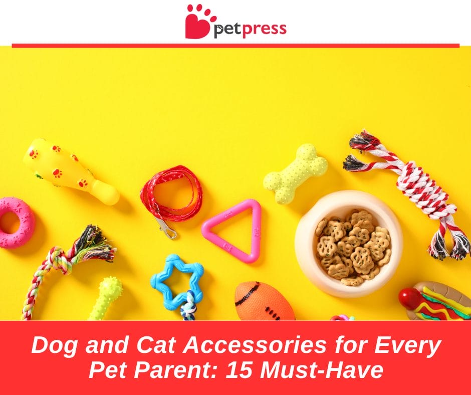Dog and Cat Accessories for Every Pet Parent: 15 Must-Have - PetPress