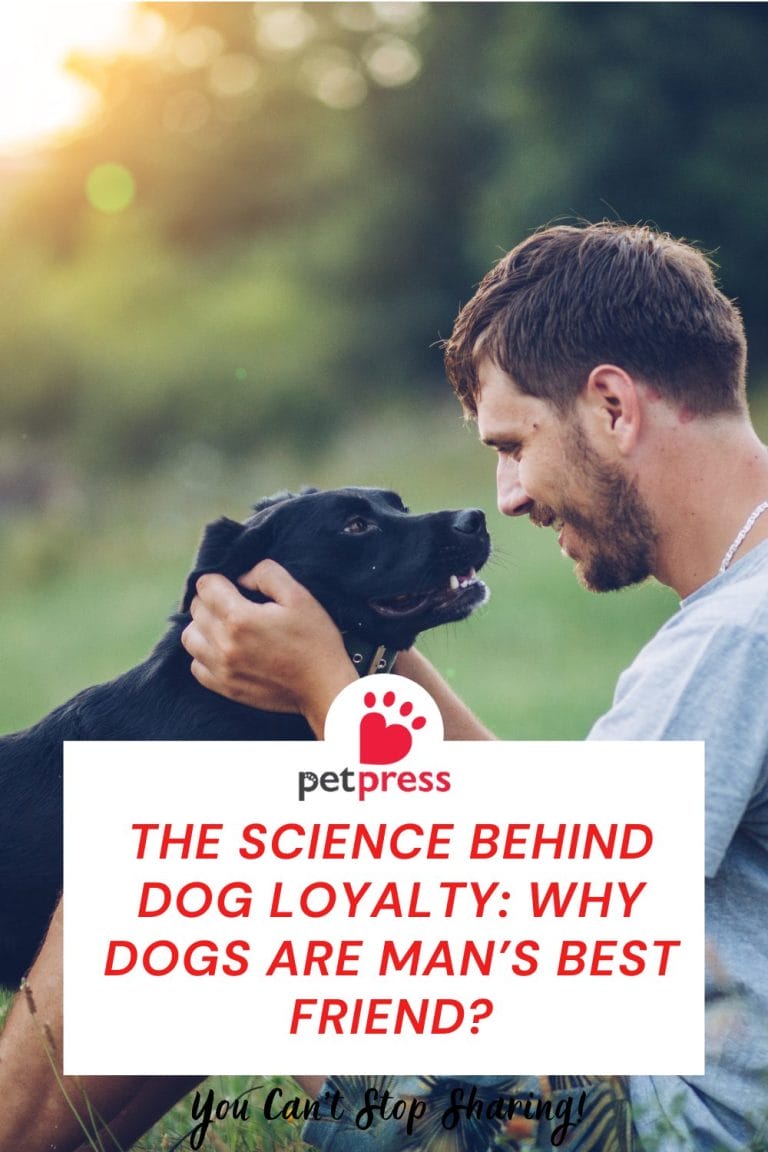 The Science Behind Dog Loyalty: Man’s Best Friend - PetPress