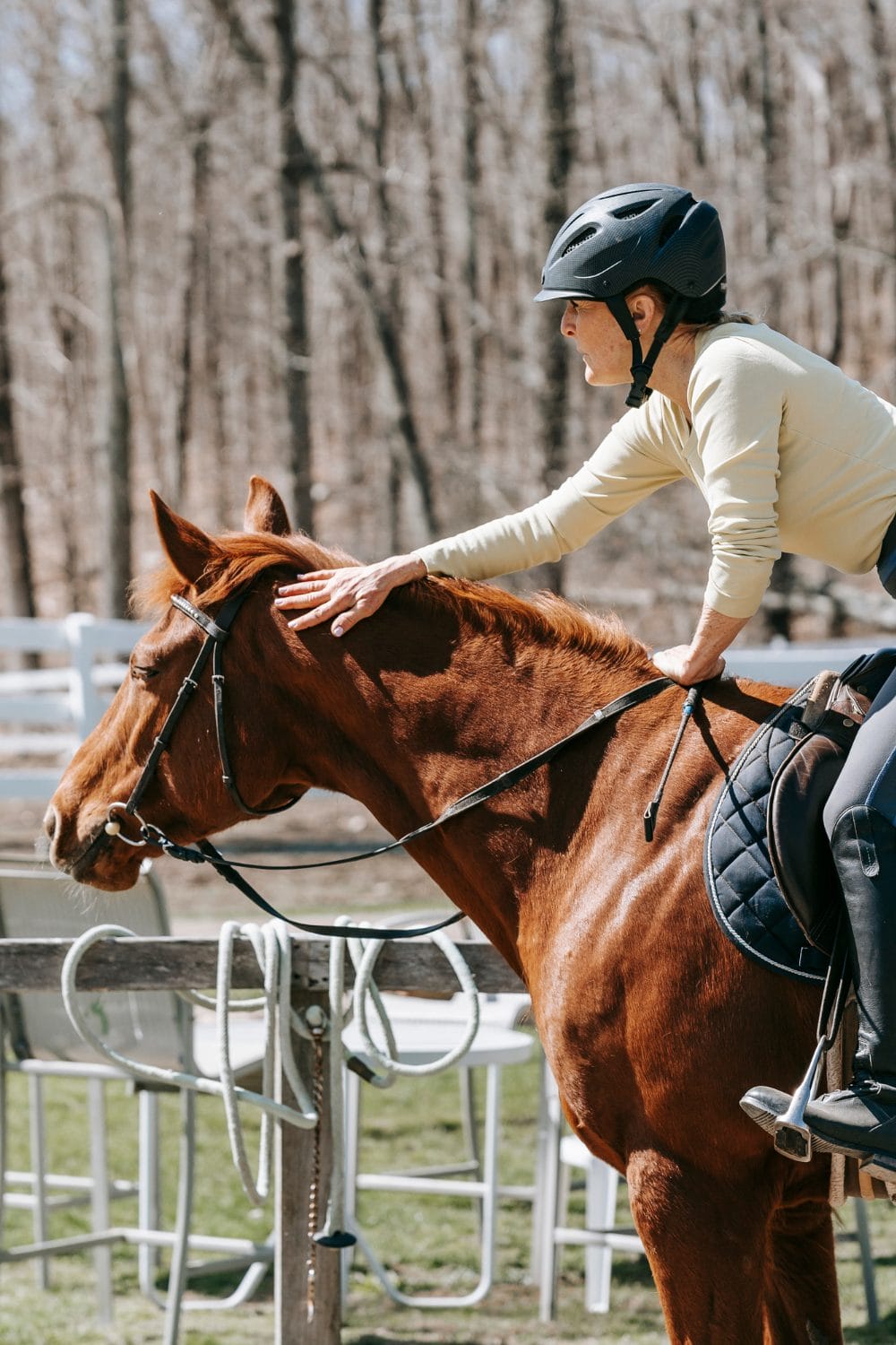 Are You Making Your Horse Anxious? Signs You Might Be - PetPress