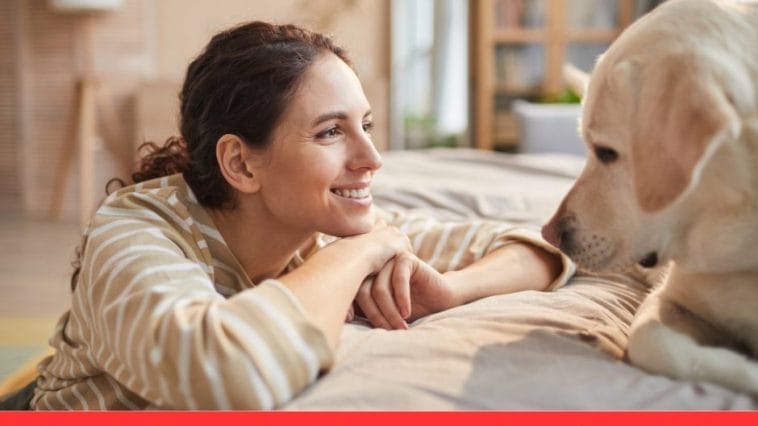 What Is a Bait Dog? Understanding the Cruel Practice