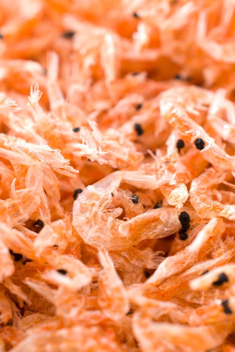 Types of Fish Food for Every Breed: What to Feed Your Fish - PetPress