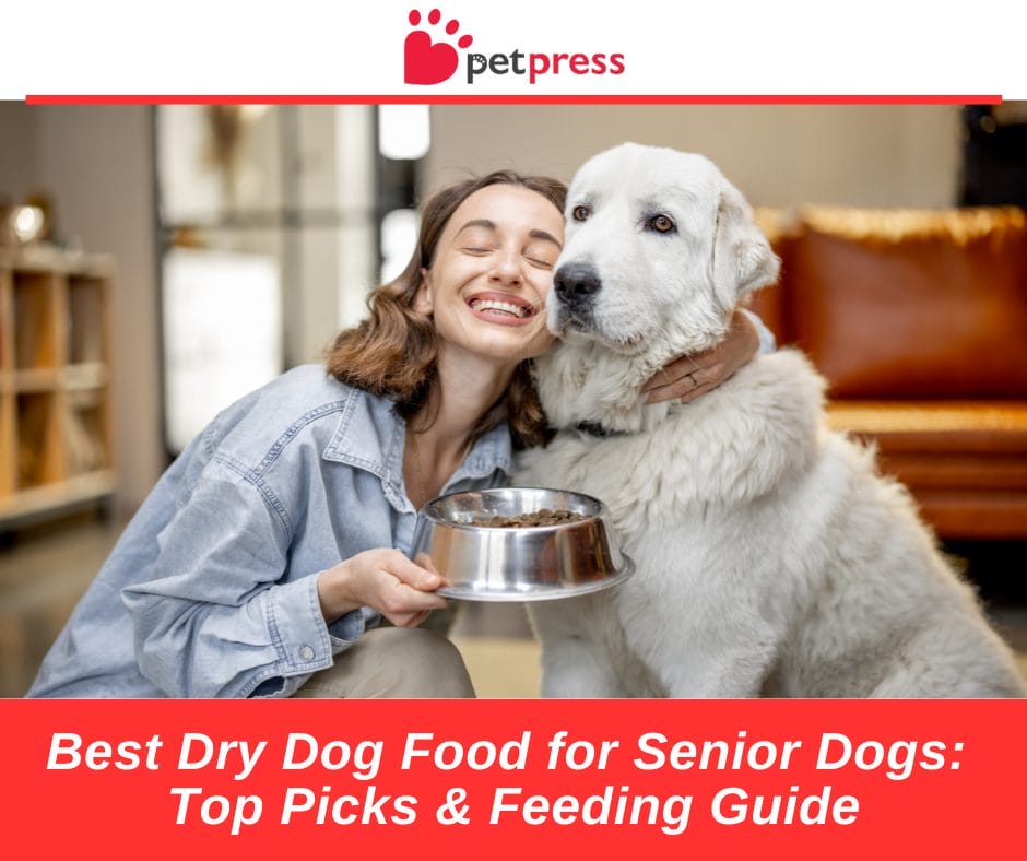 Best Dry Dog Food for Senior Dogs: Top Picks & Feeding Guide - PetPress