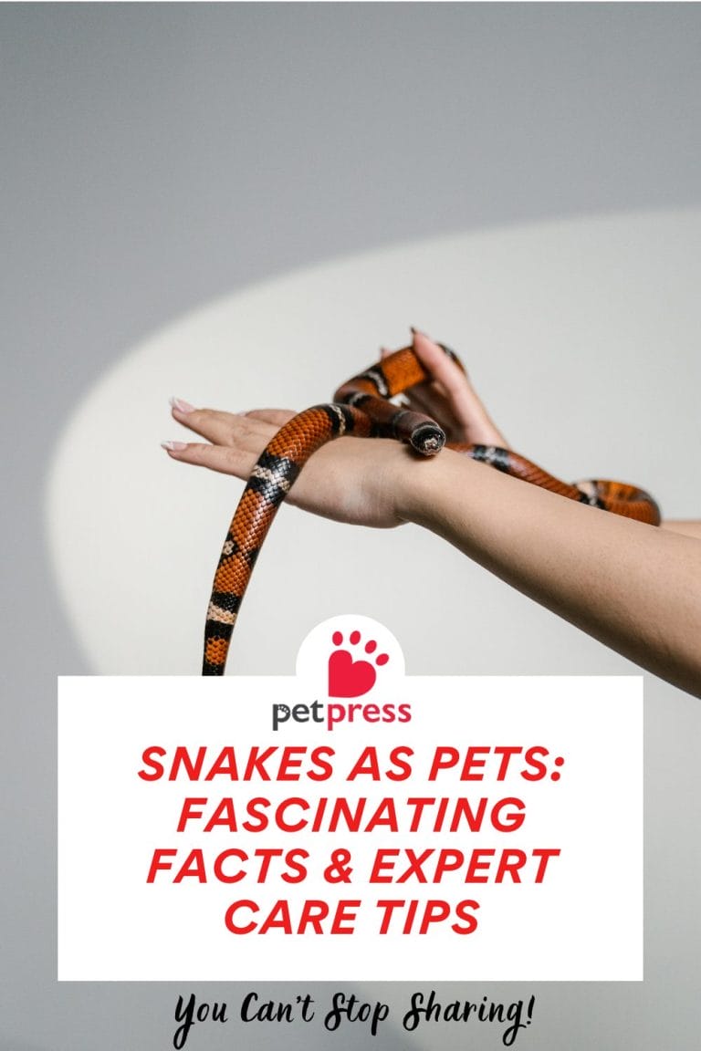 Snakes as Pets: Fascinating Facts & Expert Care Tips - PetPress