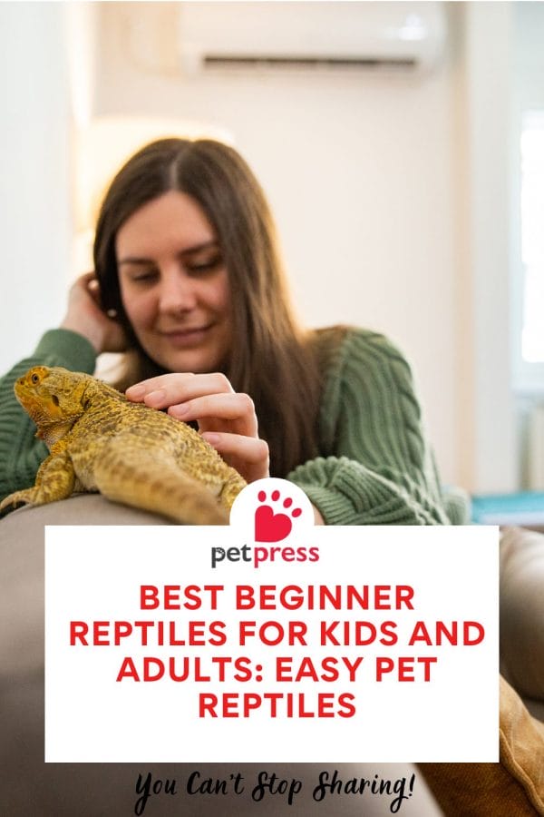 Best Beginner Reptiles for Kids and Adults: Easy Pet Reptiles - PetPress
