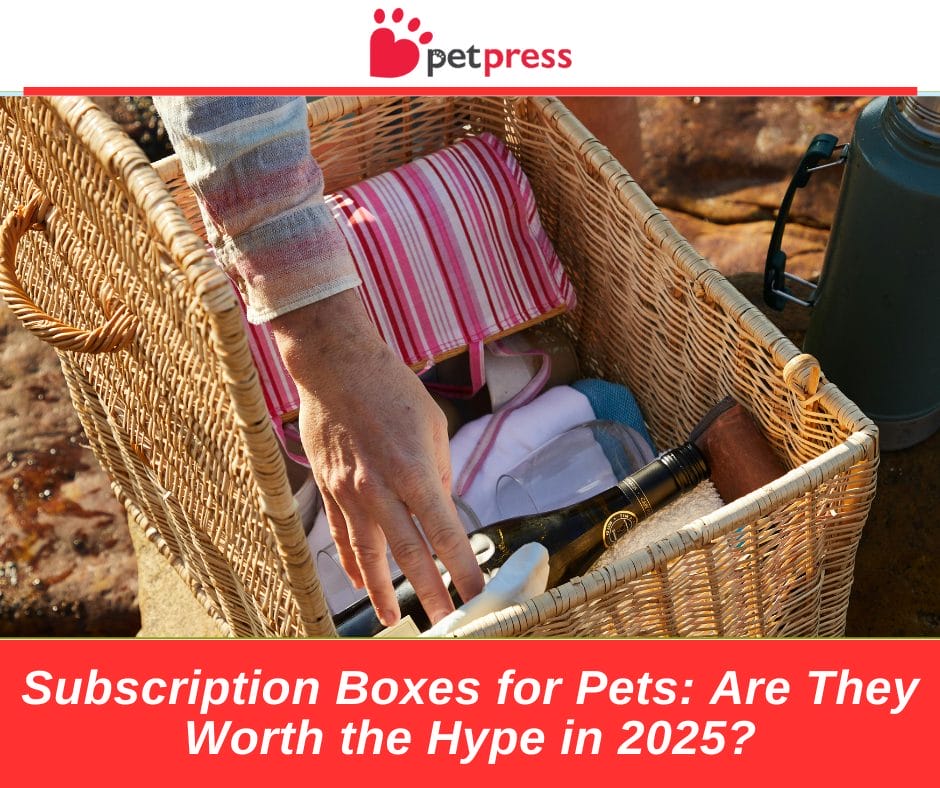Subscription Boxes for Pets: Are They Worth the Hype in 2025? - PetPress