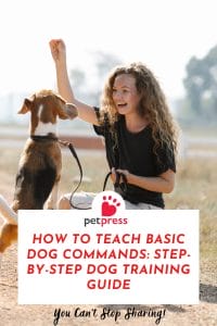 How to Teach Basic Dog Commands: Step-by-Step Dog Training Guide - PetPress