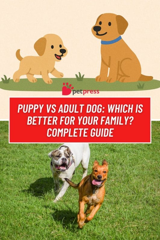 Puppy vs Adult Dog: Which Is Better for Your Family? Complete Guide ...