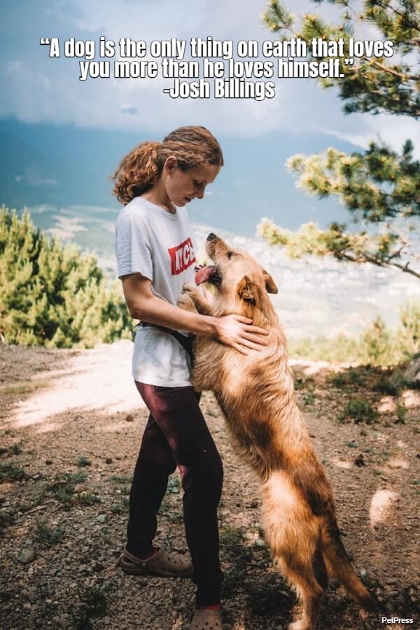 20 Quotes that Prove That Dogs Are the Most Loyal Creatures