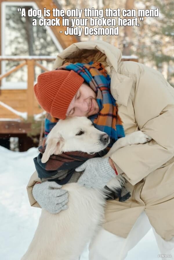 20 Quotes that Prove That Dogs Are the Most Loyal Creatures