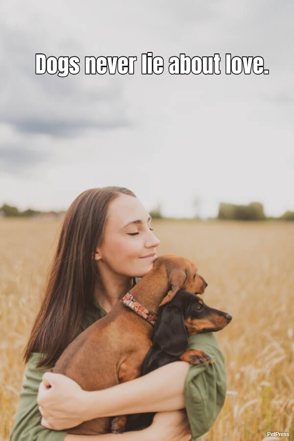 20 Dog Friendship Quotes For Every Dog Lover to Live By!