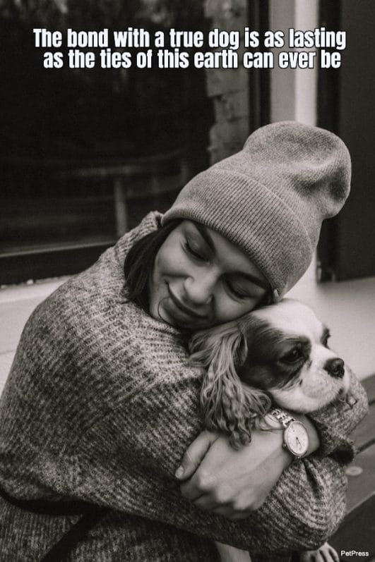 10+ Sweetest Welcome New Puppy Quotes For New Dog's Parents